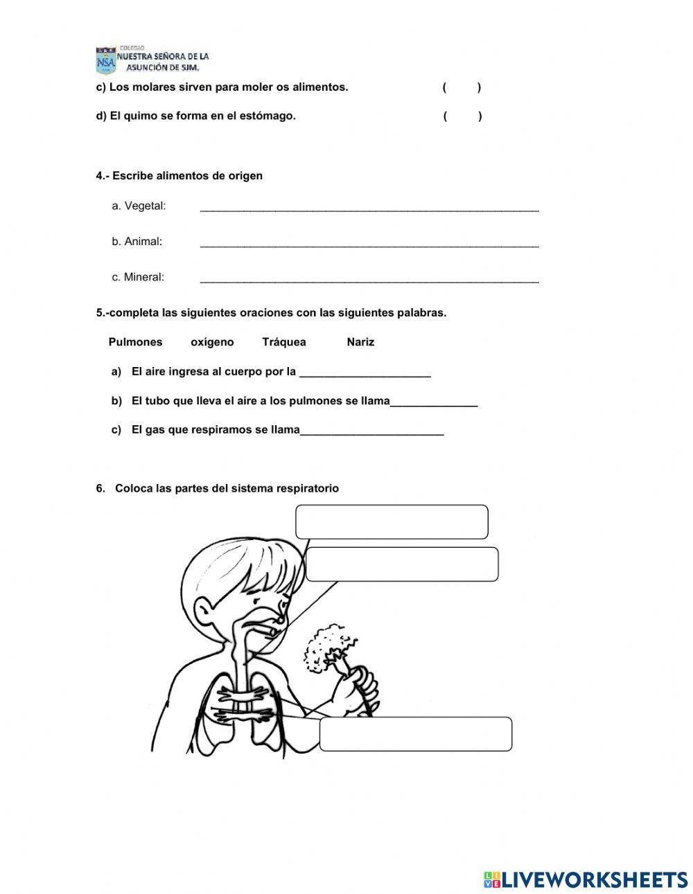 Cta exercise | Live Worksheets