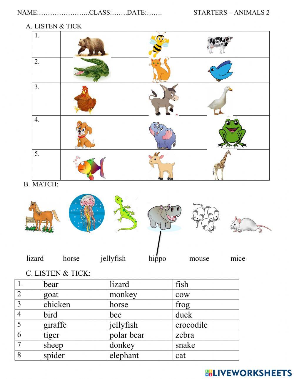 Starters - anim… | Free Interactive Worksheets | 2092154