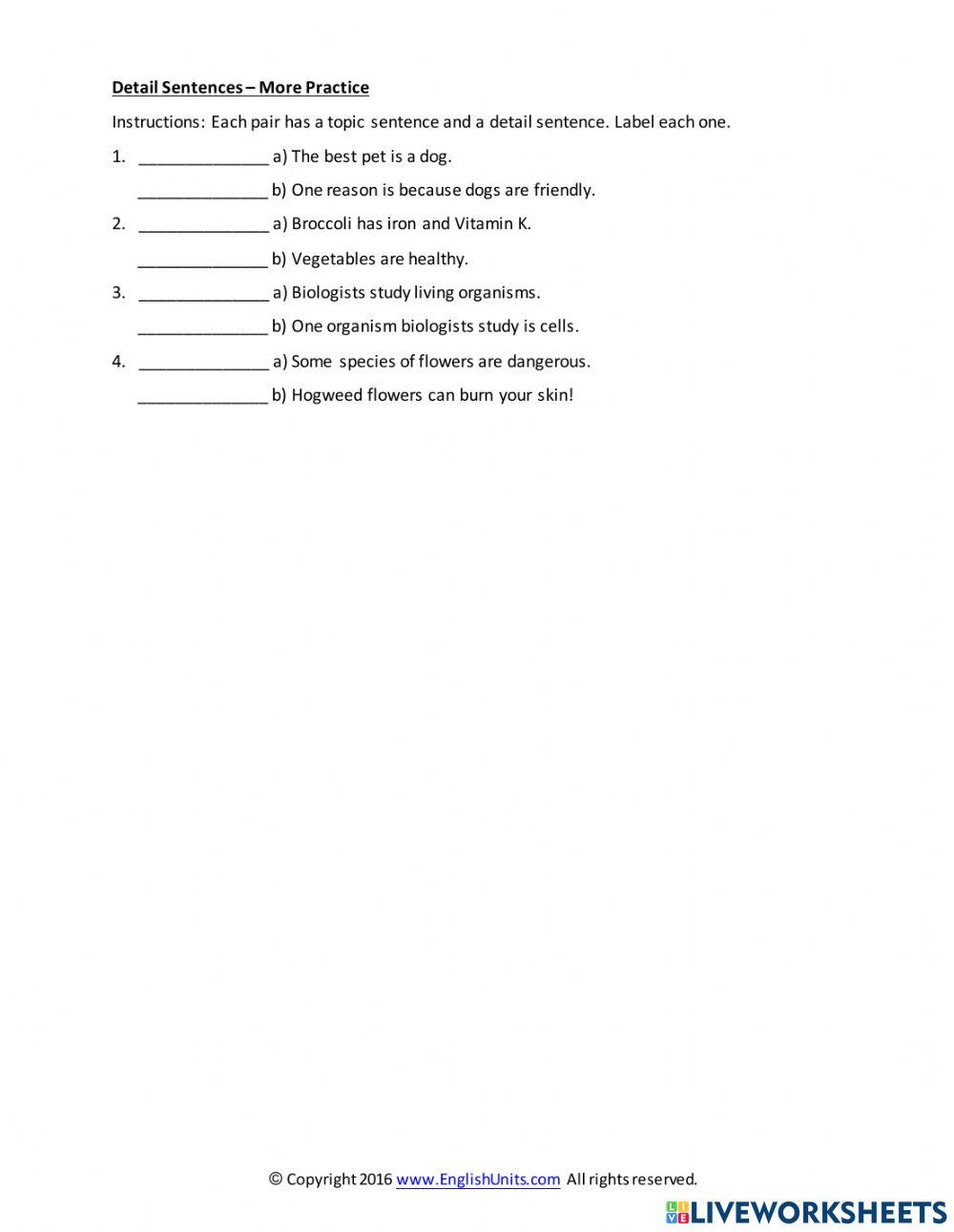 5348800 | Paragraph - Details sentences | Margaret Steel