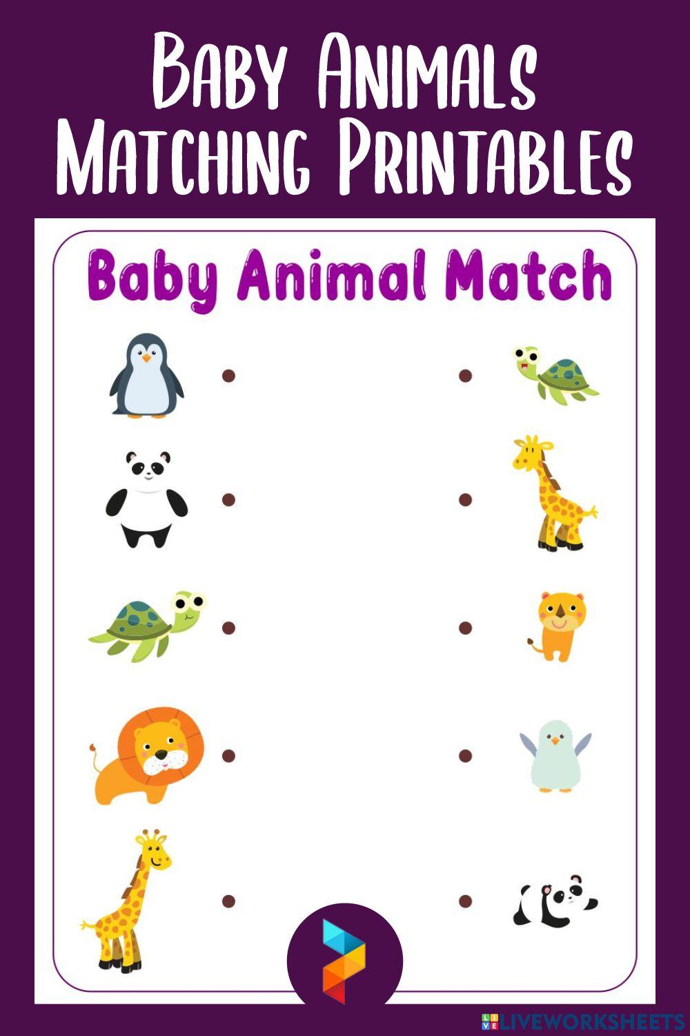 Animals Matching exercise | Live Worksheets