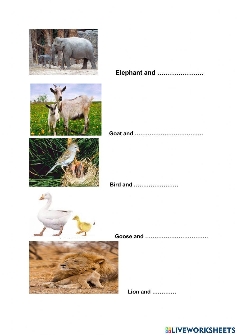 animal babies online worksheet | Live Worksheets