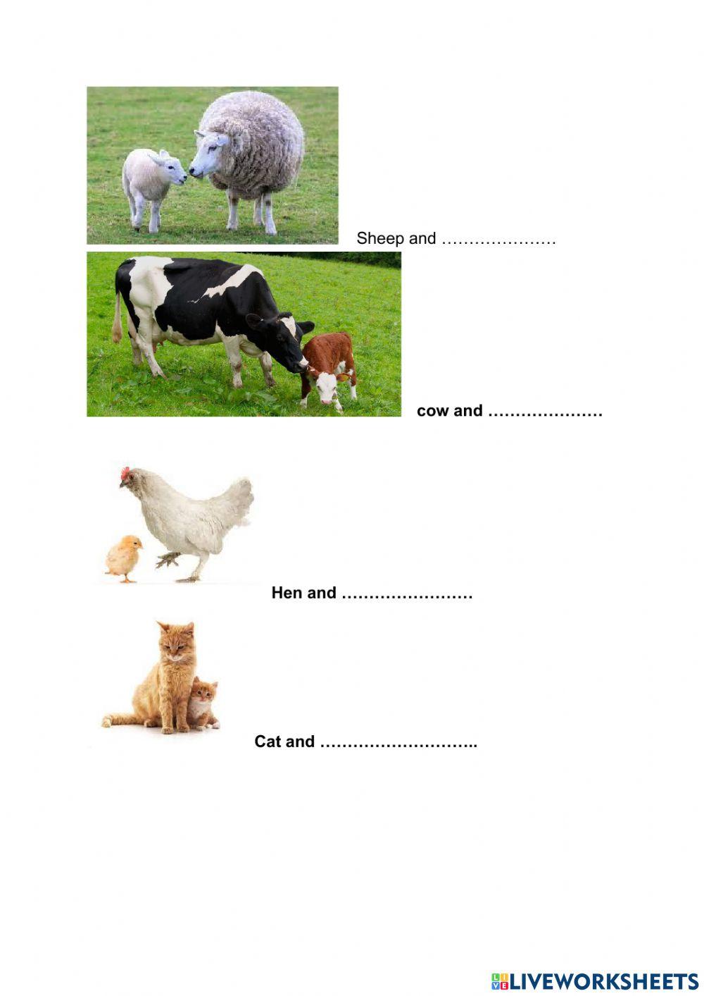 animal babies online worksheet | Live Worksheets