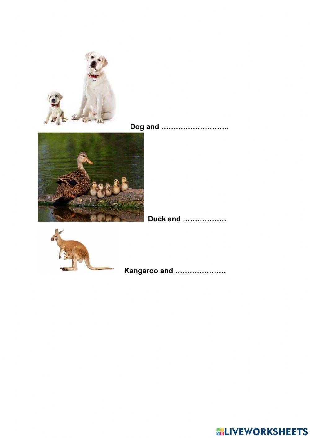 animal babies online worksheet | Live Worksheets