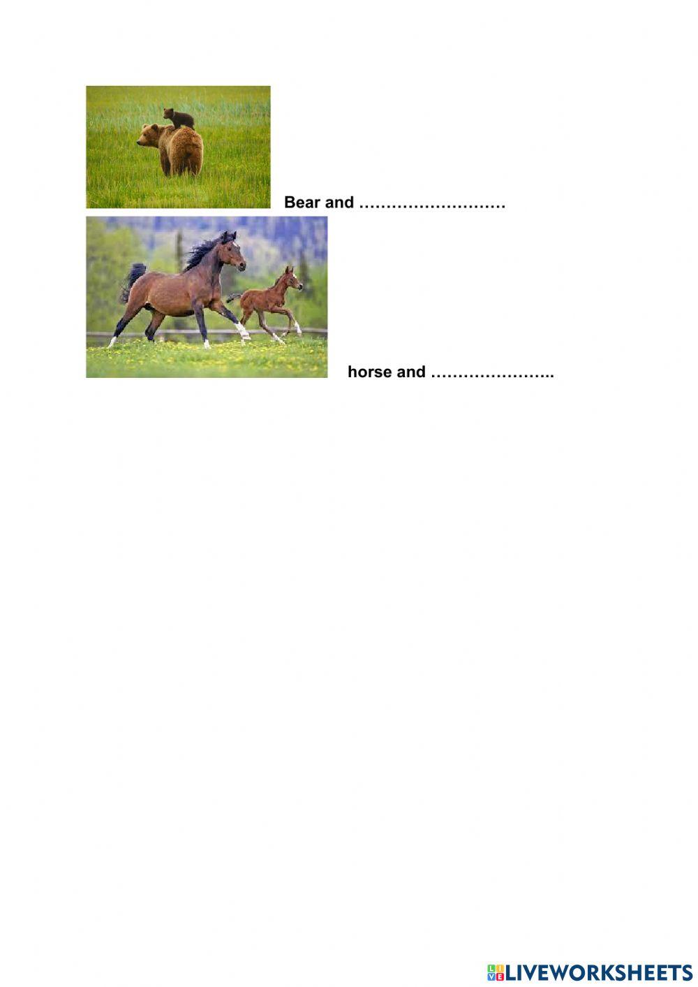 animal babies online worksheet | Live Worksheets