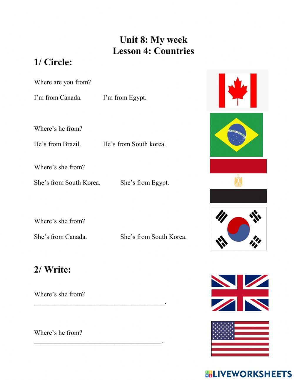 Everyup3-unit8-… | Free Interactive Worksheets | 2096612