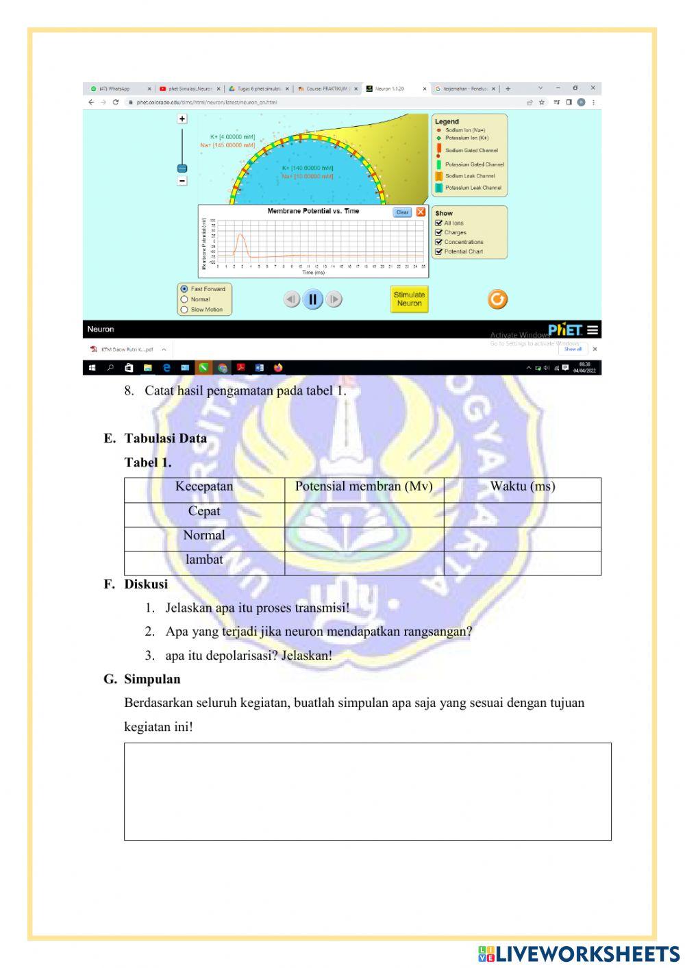 Neuron exercise | Live Worksheets