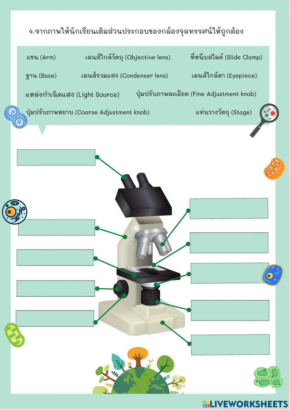 2097857 | Biology | pawinee | LiveWorksheets