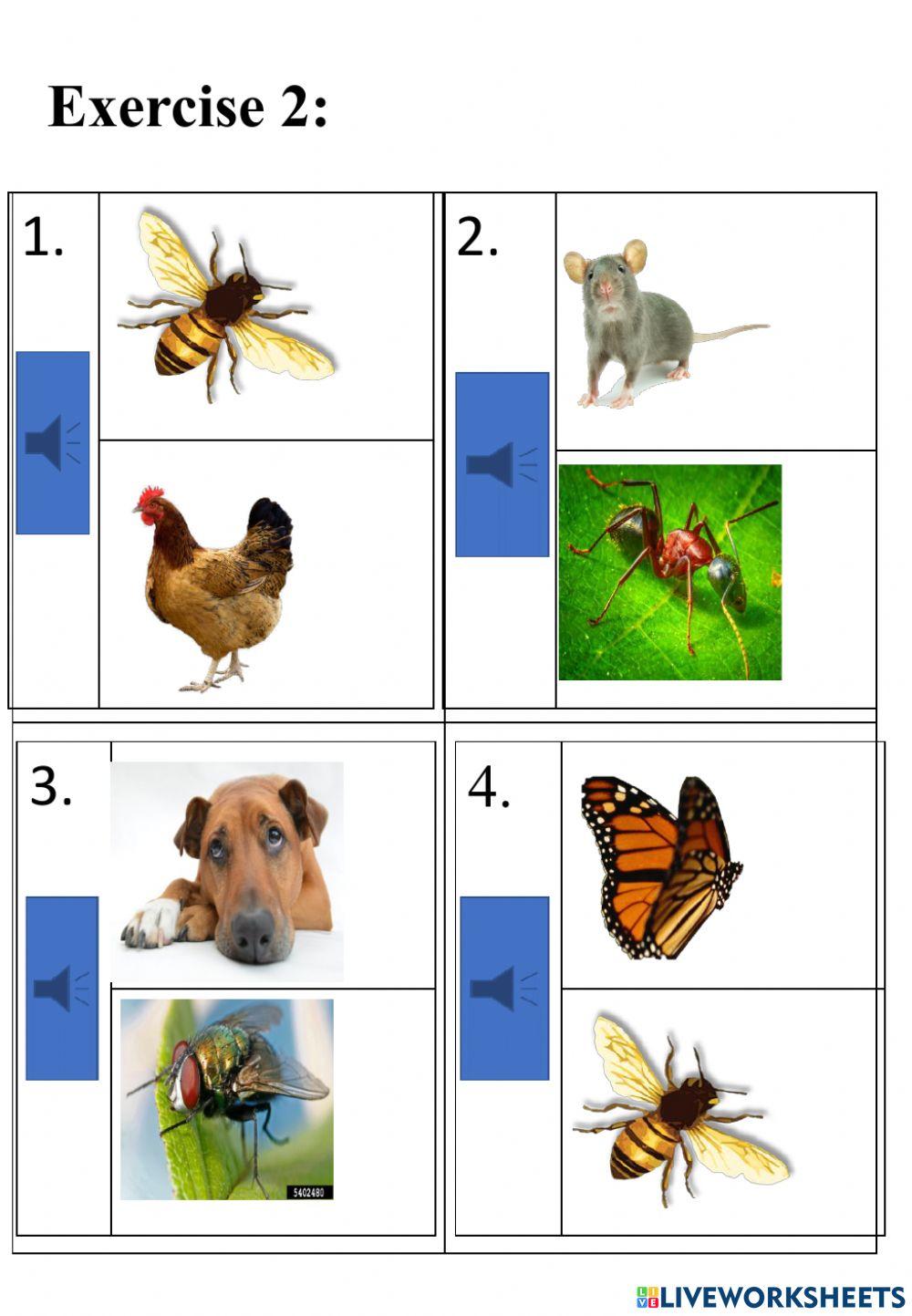 Insects online exercise for 5 | Live Worksheets