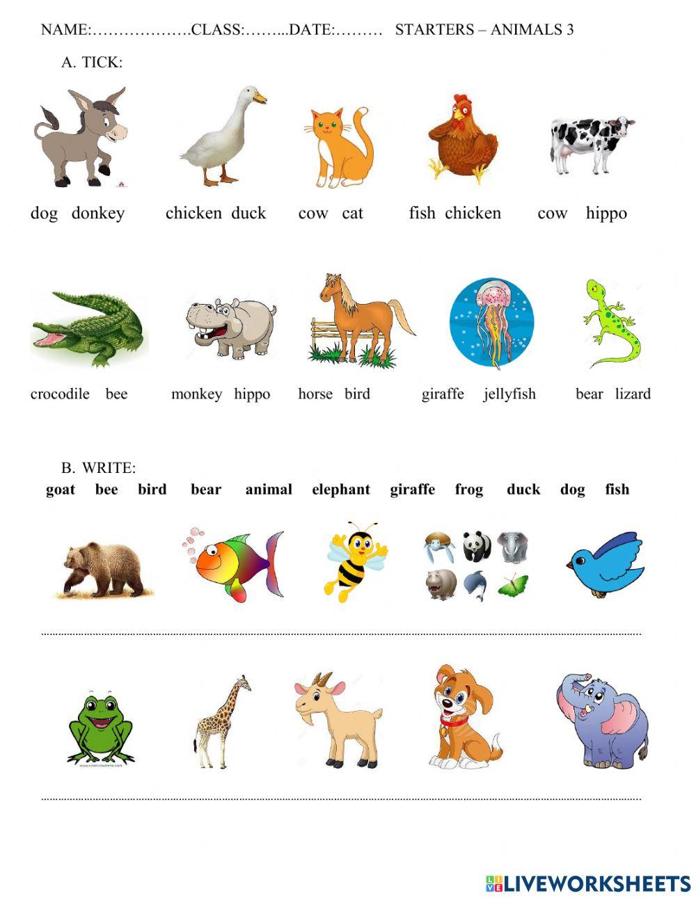 Starters animal… | Free Interactive Worksheets | 2100758