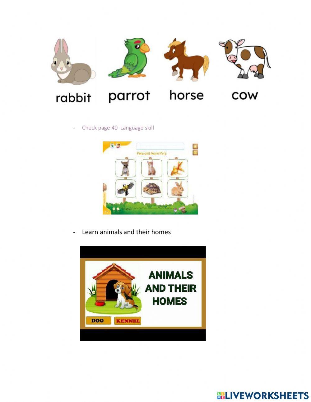 Weekly activities 12 interactive worksheet | Live Worksheets