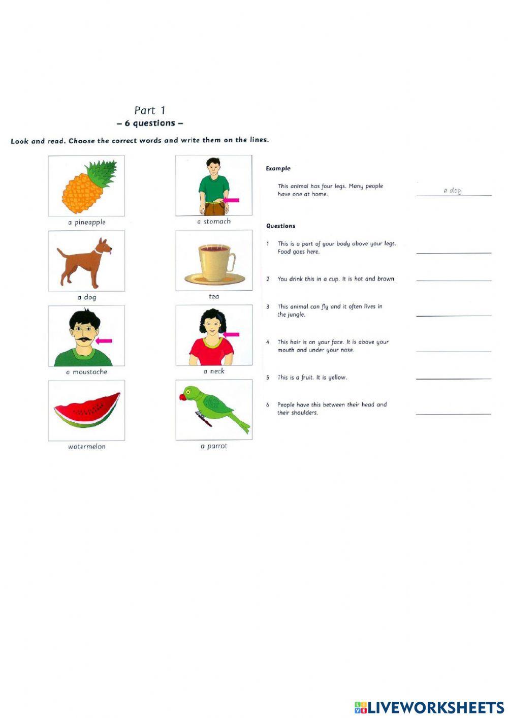MT Test 1 Part 1 2102829 | melin123 | Live Worksheets