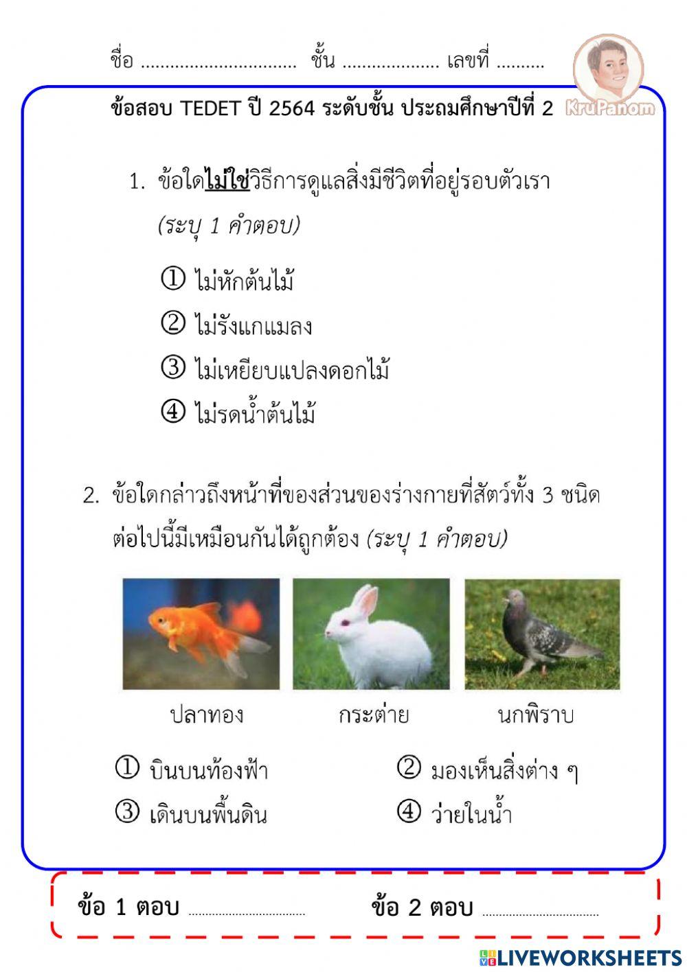 Tedet ป.2 ปี 64 ข้อ1-5 worksheet | Live Worksheets
