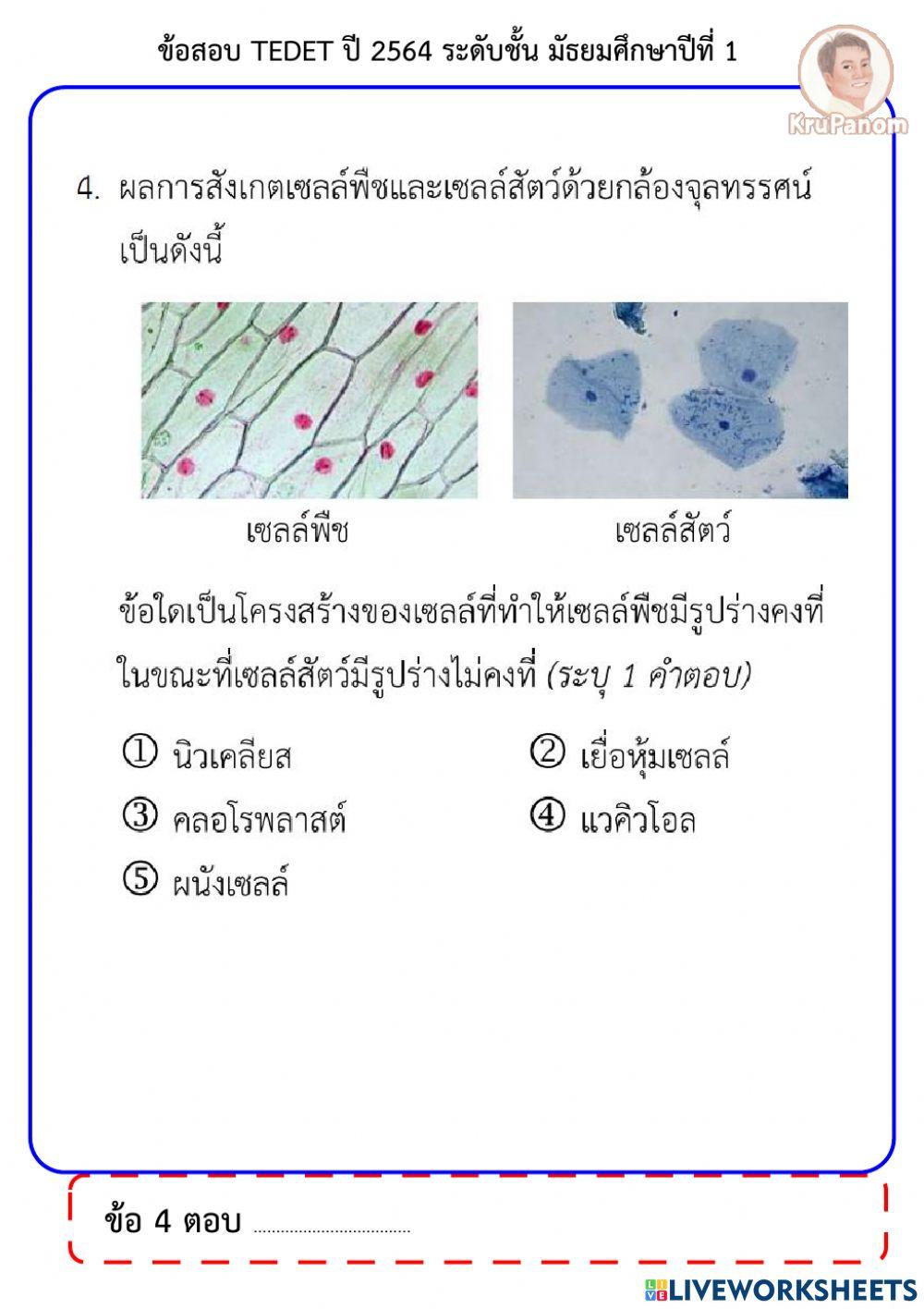 Tedet ม.1 ปี64 ข้อ1-5 worksheet | Live Worksheets