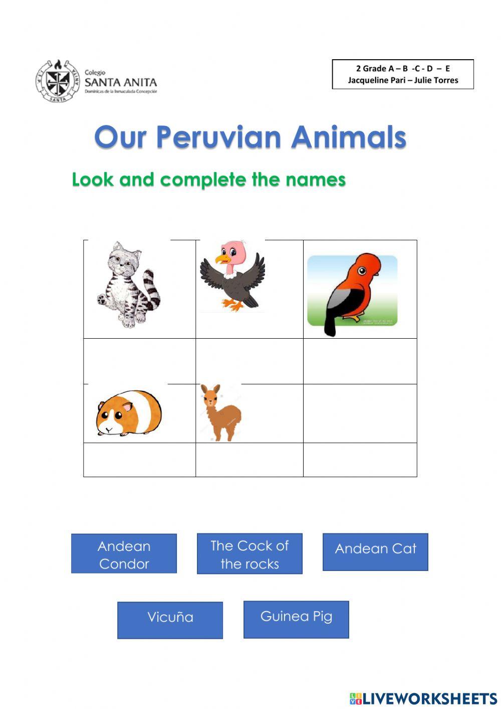 2086794 | Our Peruvian animals | JACQUELINE PARI BOLIVAR