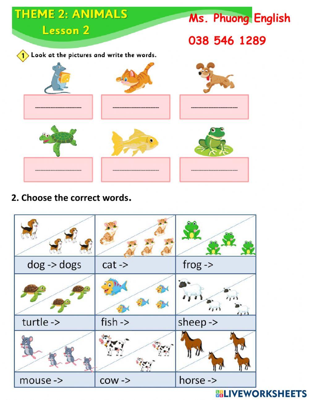 Smart start 5 - theme 2 - lesson 2 worksheet | Live Worksheets