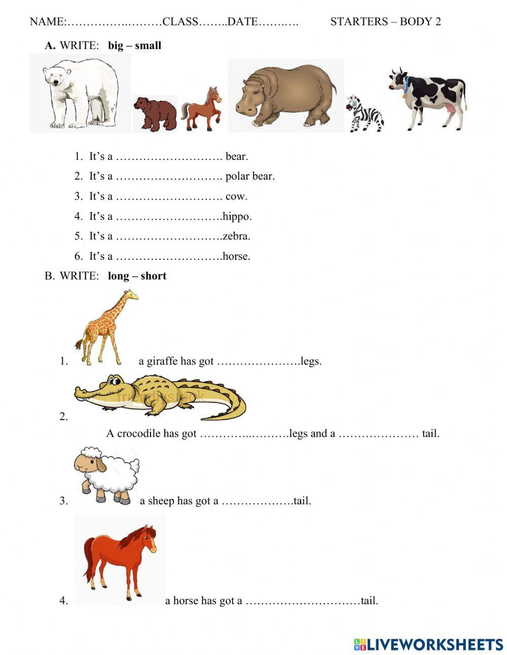 Body 2 - starters worksheet | Live Worksheets