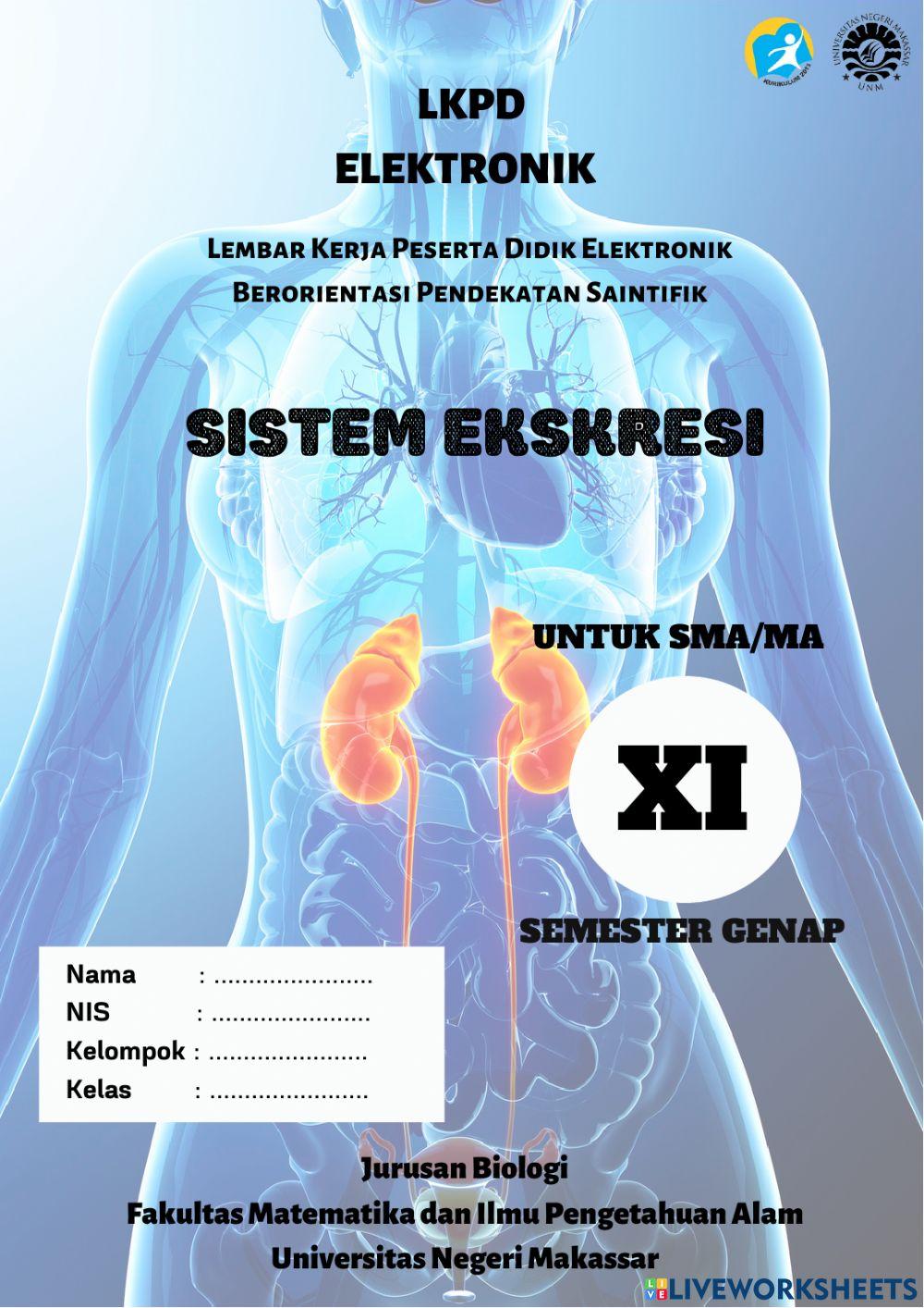 2393786 | LKPD SISTEM EKSKRESI ELEKTRONIK | Fitrianurulcr
