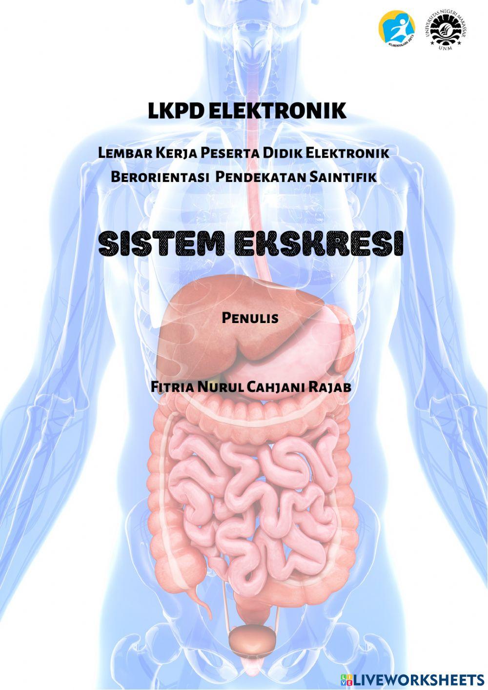 2393786 | LKPD SISTEM EKSKRESI ELEKTRONIK | Fitrianurulcr