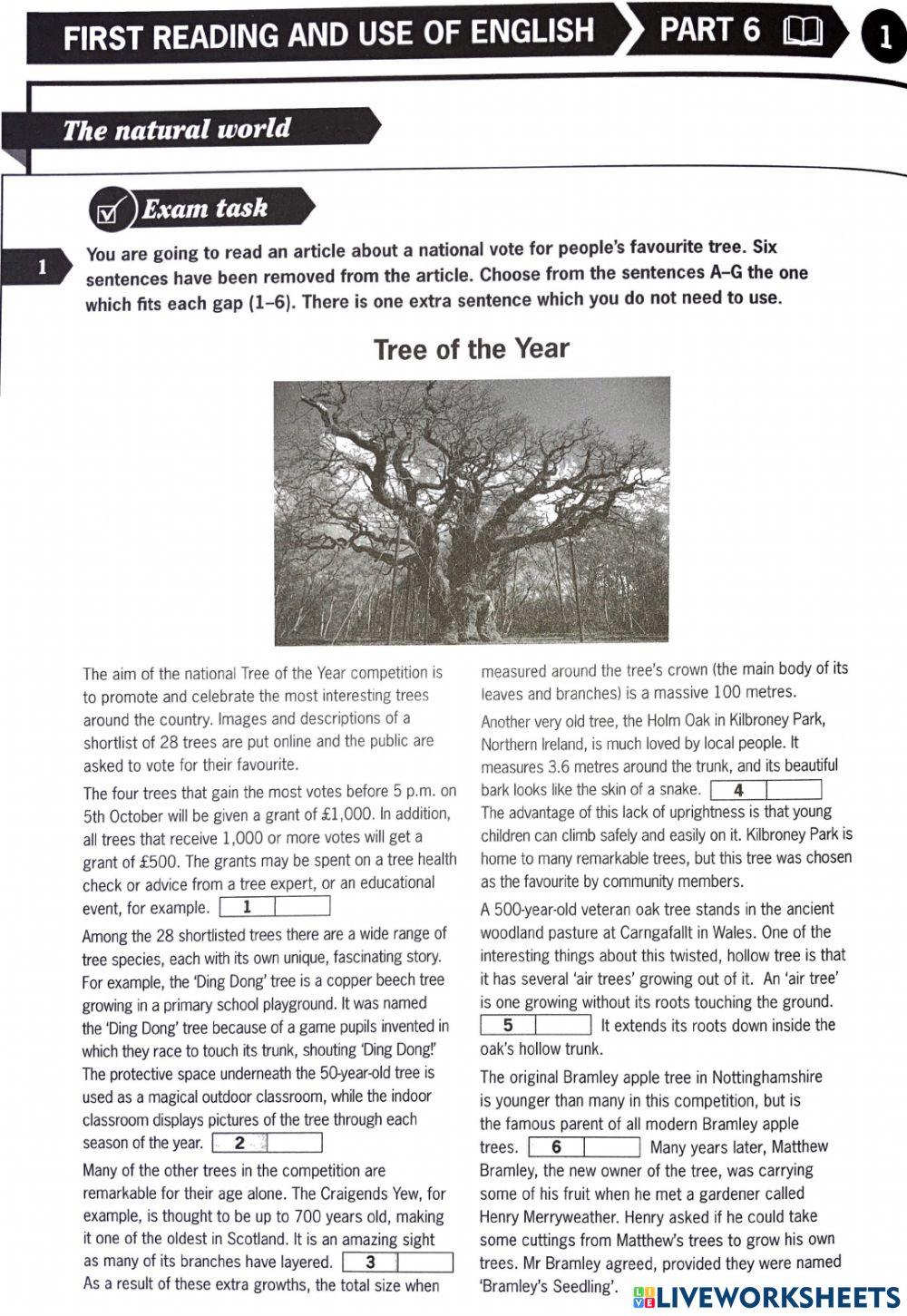 FCE 15 online exercise for | Live Worksheets