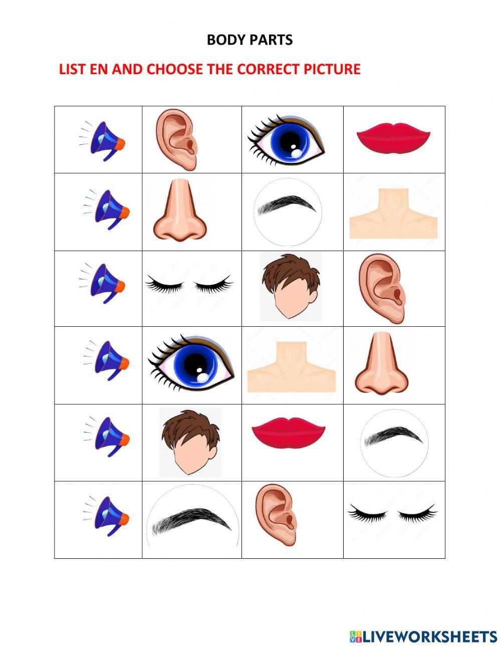 Upper body parts exercise | Live Worksheets