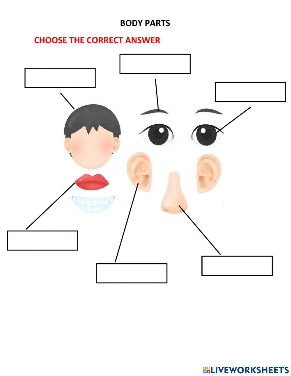 Upper body parts exercise | Live Worksheets