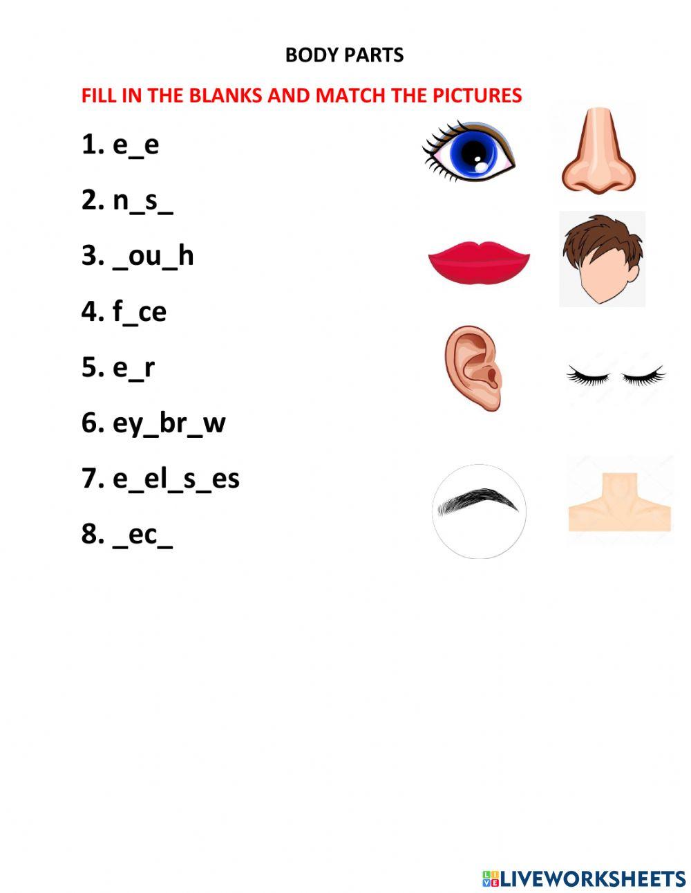 Upper body parts exercise | Live Worksheets