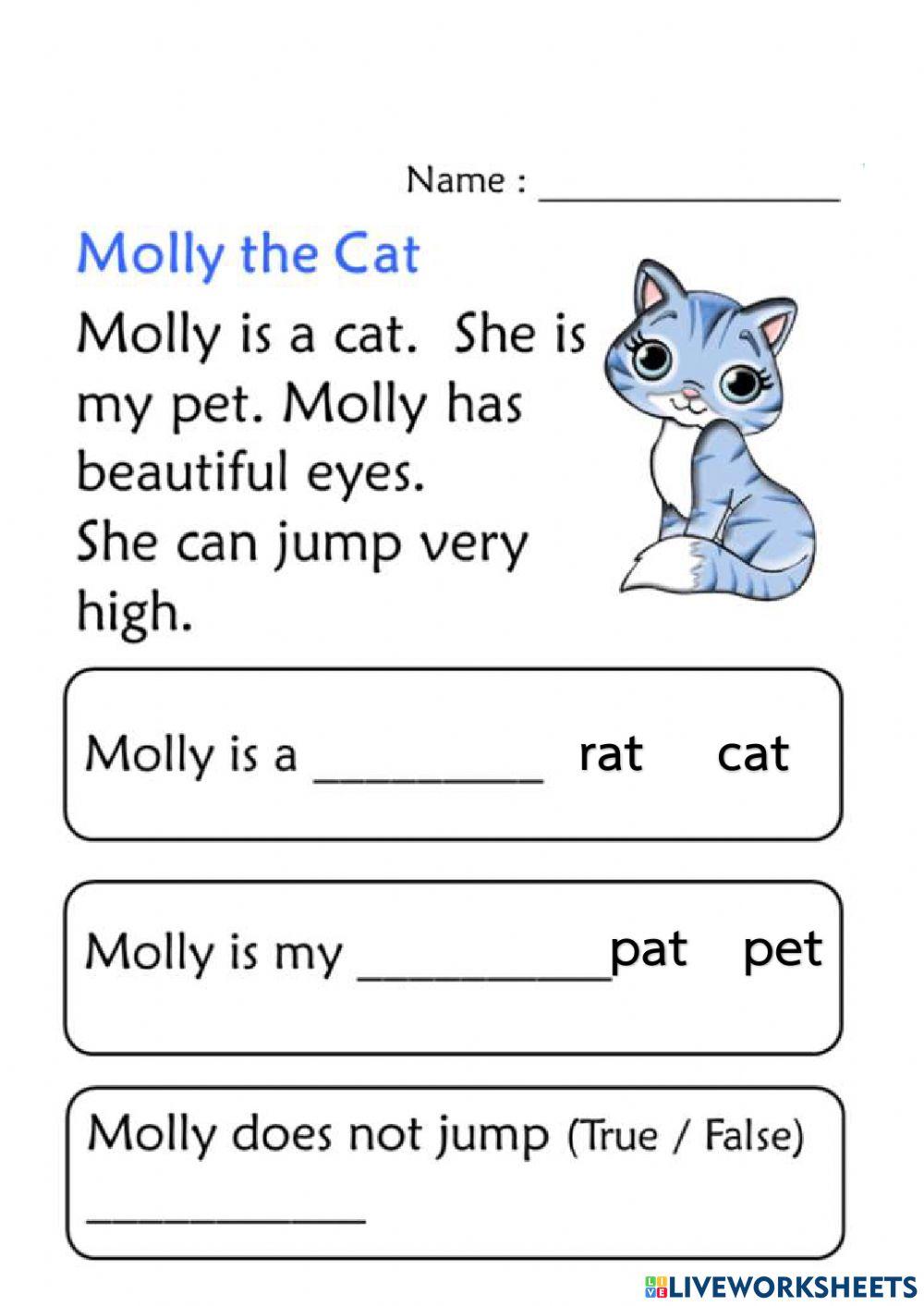 4115288 | cat cat | Joomtong2508 | LiveWorksheets