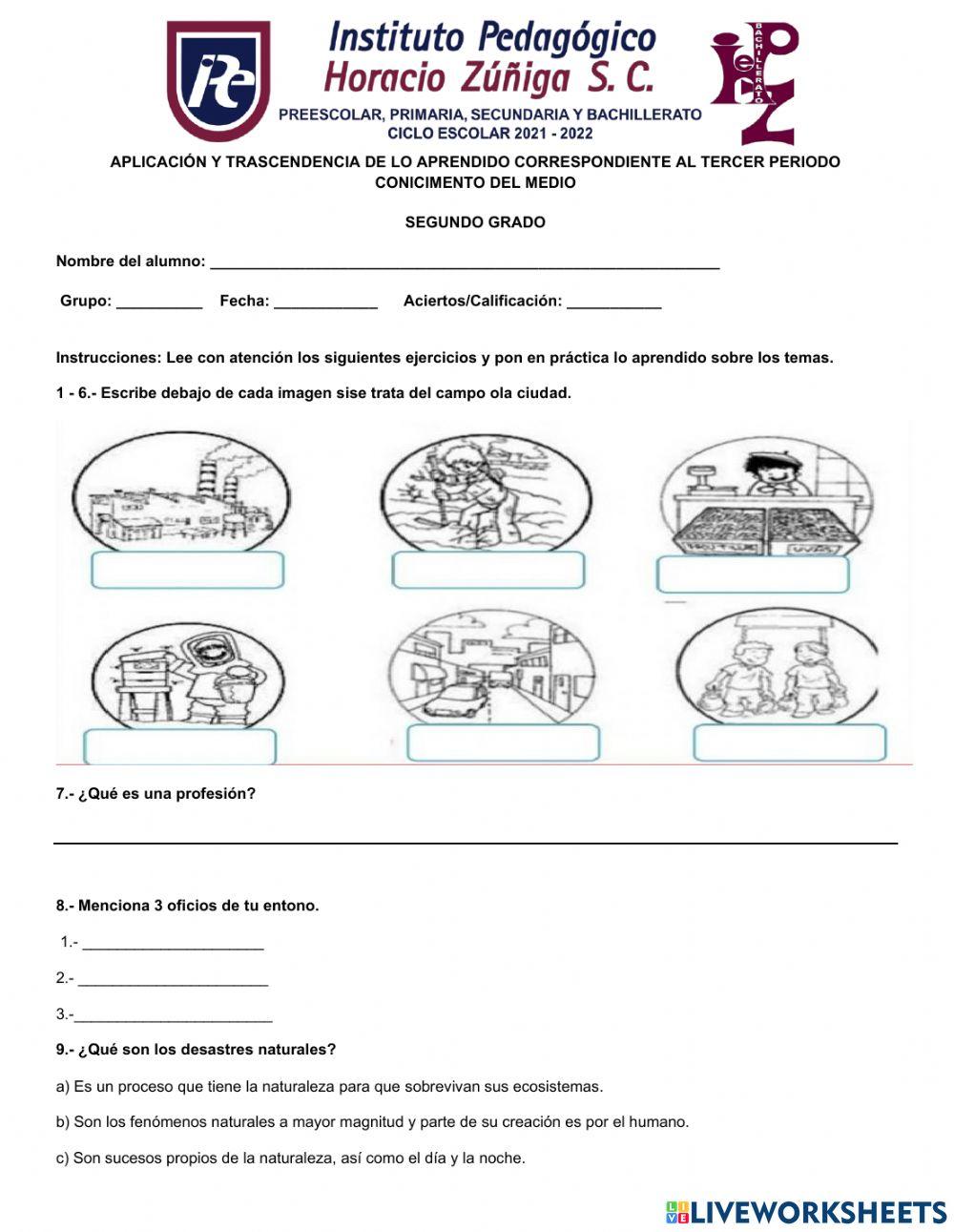 APLICACIÓN Y TR… | Free Interactive Worksheets | 6889374