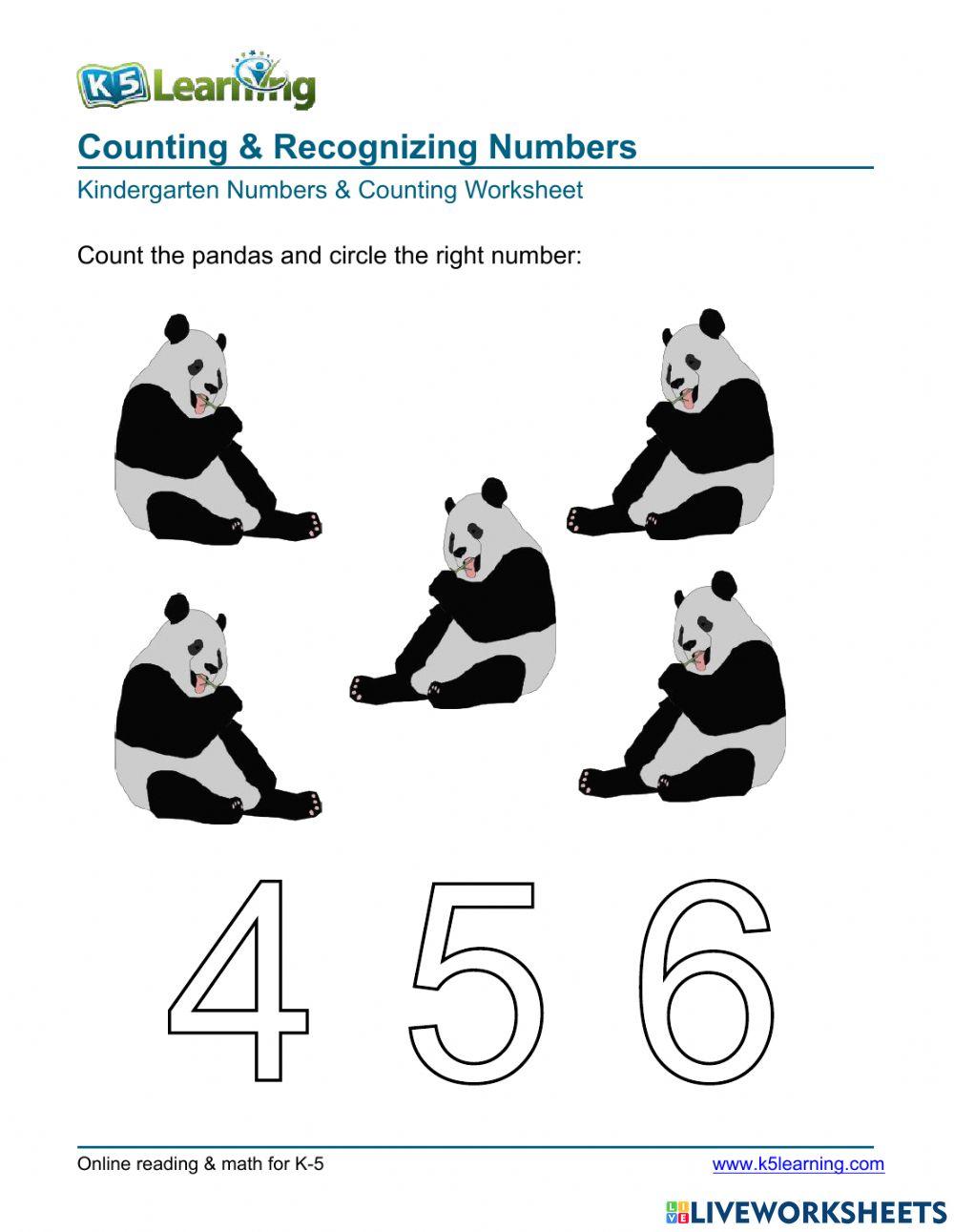 2090351 | Counting & Recognizing Numbers