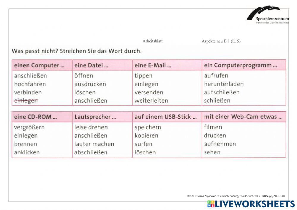 2396212 | Aspekte B1 Computer Wortschatz | Stirlitz