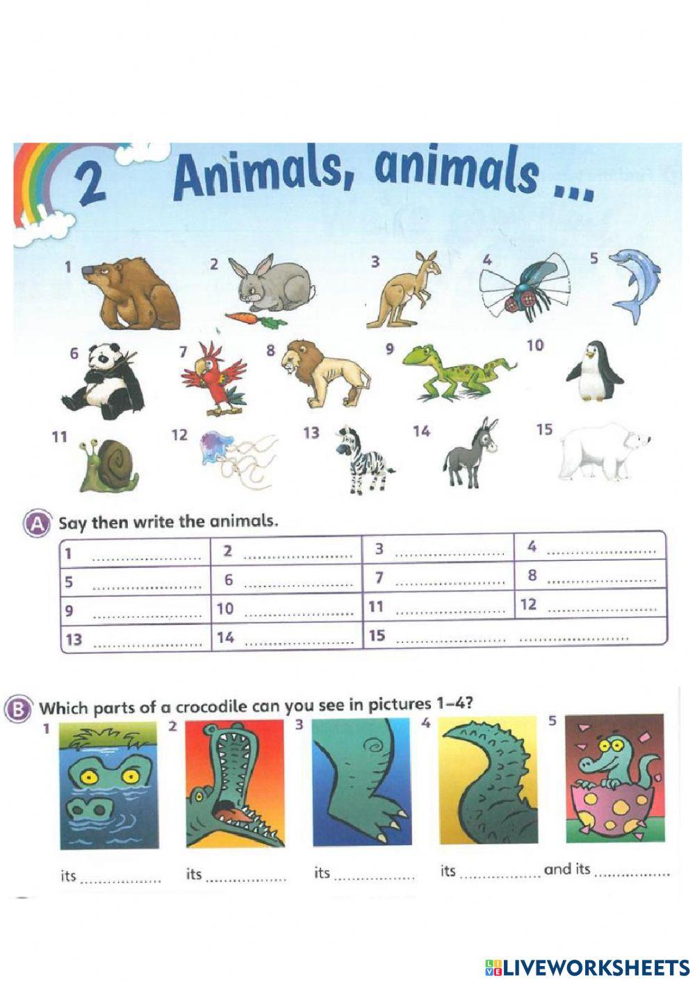 Fm 1 worksheet | Live Worksheets