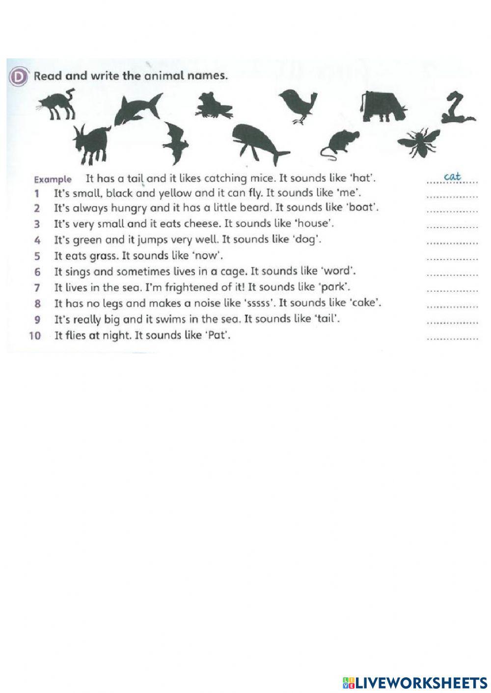 Fm 1 worksheet | Live Worksheets