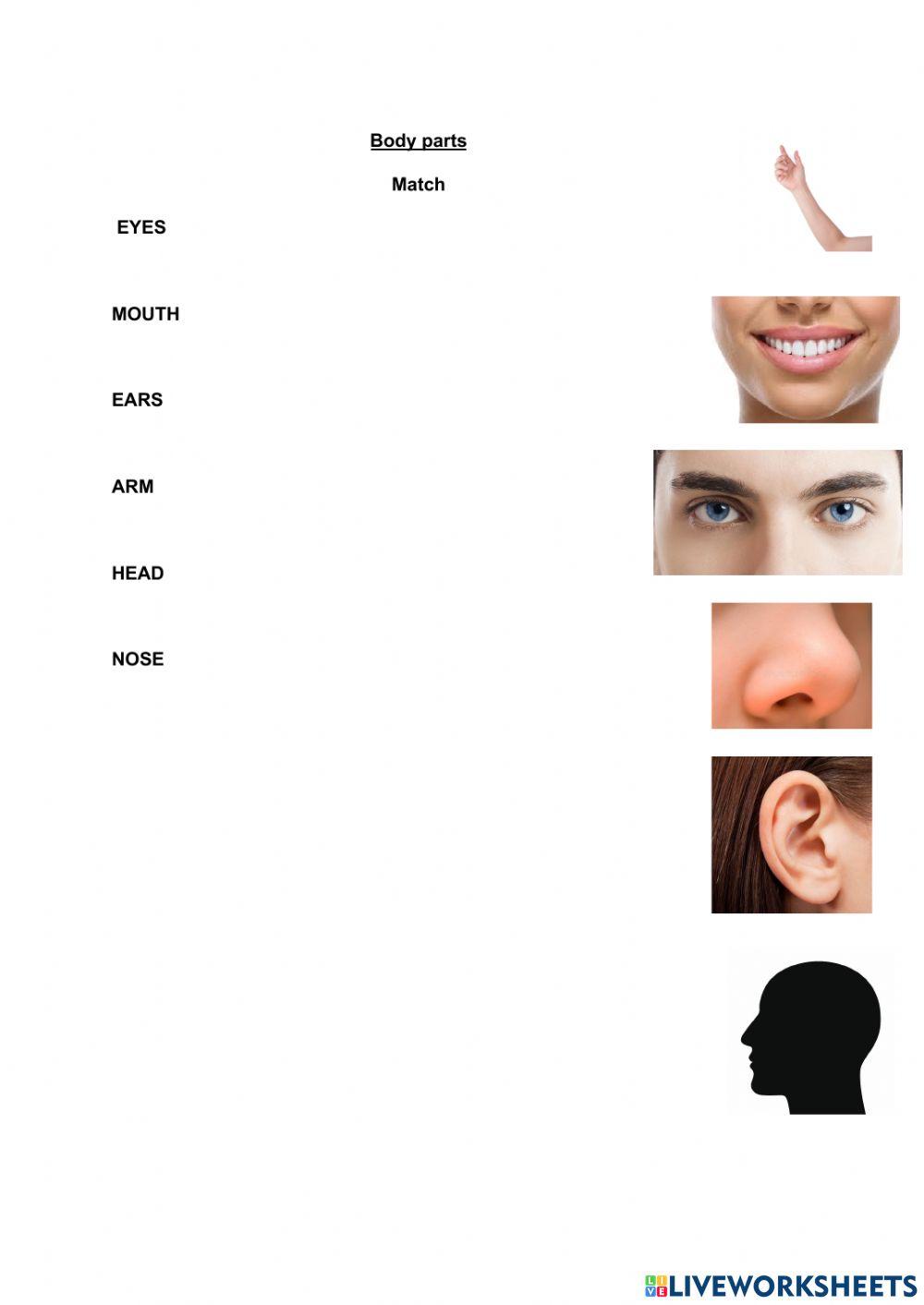 Match-Body parts worksheet | Live Worksheets