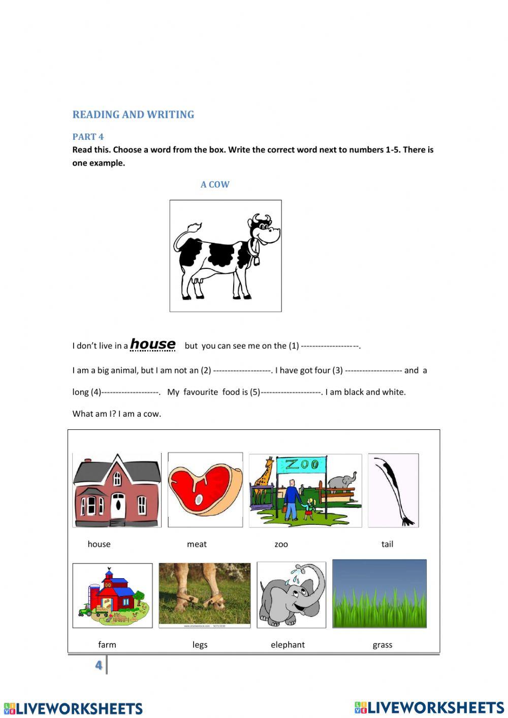 Starter 1 | Free Interactive Worksheets | 2113438