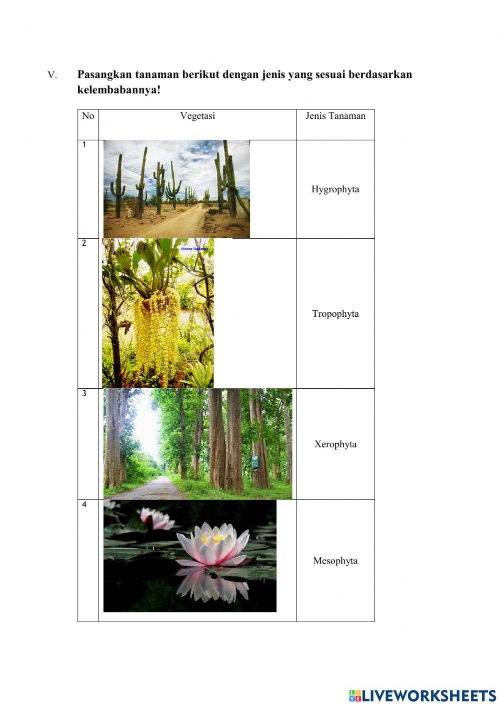 Faktor Persebaran Flora Fauna worksheet | Live Worksheets