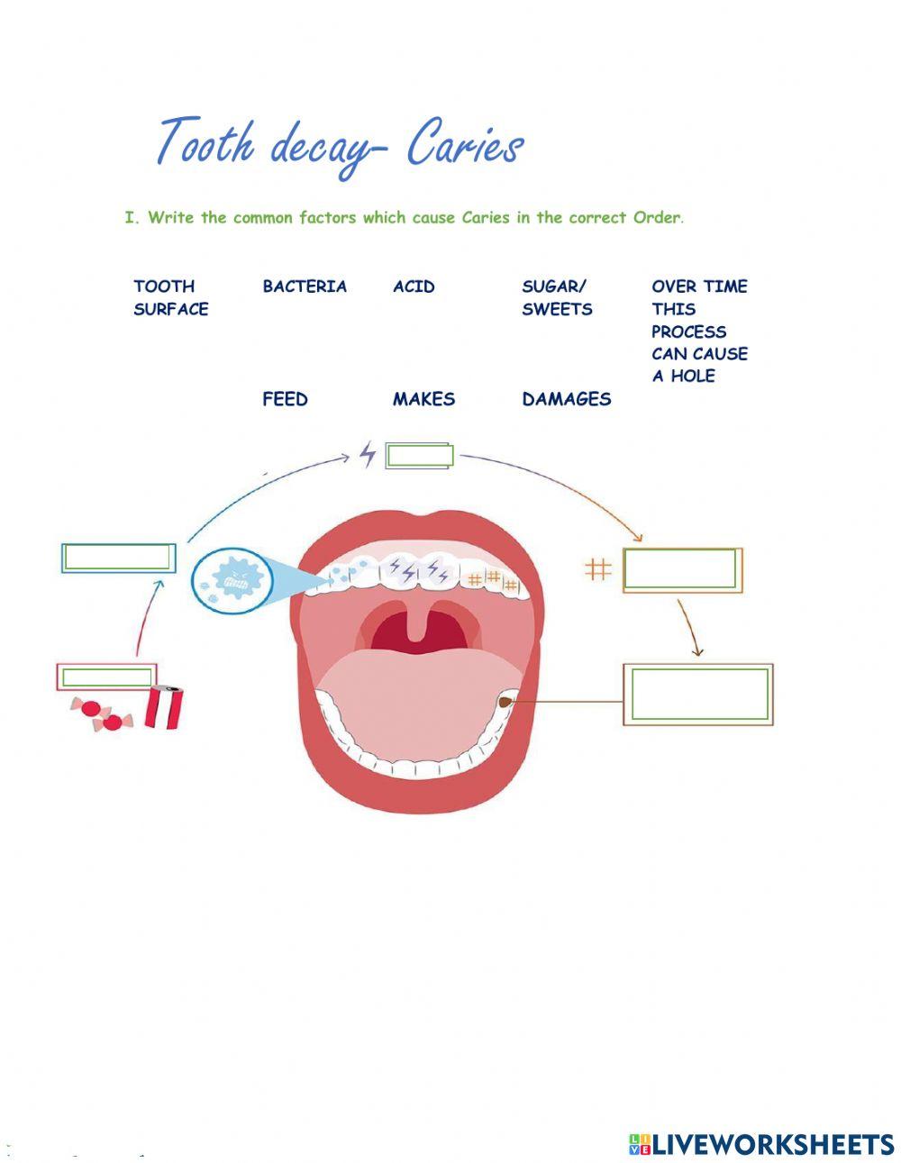 Caries exercise | Live Worksheets