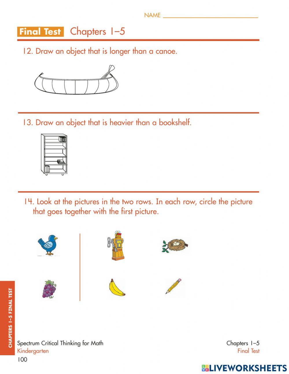CT Test-KG worksheet | Live Worksheets