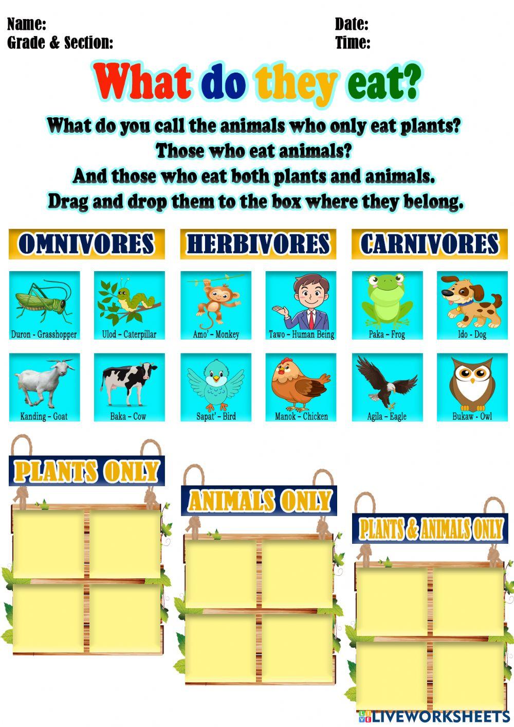 WHAT DO THEY EAT2 online exercise for | Live Worksheets