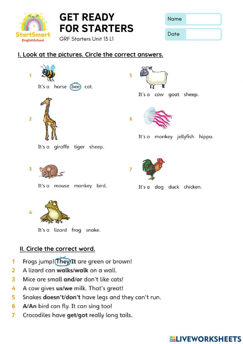 2867685 | GRF Starters Unit 13 L1 | KHANH CHI NGUYEN