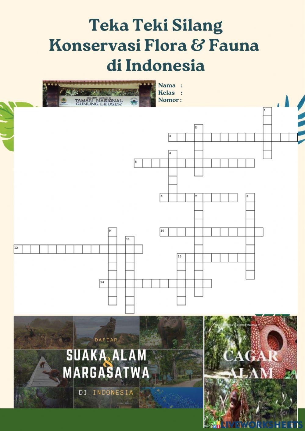 Teka Teki Silang Konservasi Flora Fauna di Indonesia worksheet | Live ...