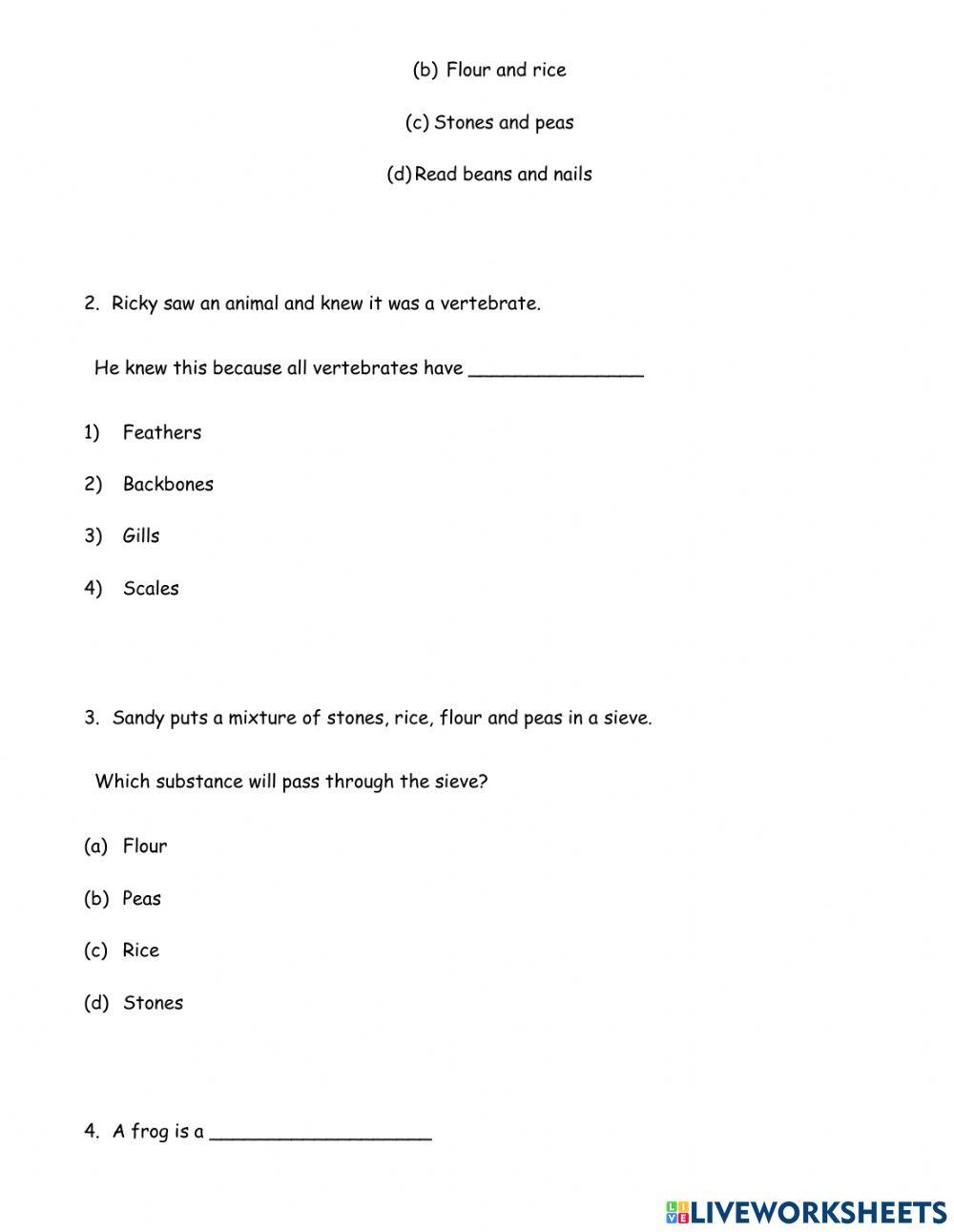 STD 1 Test | Free Interactive Worksheets | 2119732