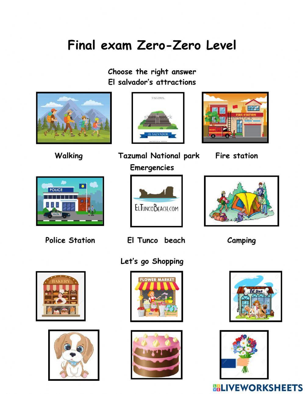 Final Exam-Zero-Zero online exercise for | Live Worksheets