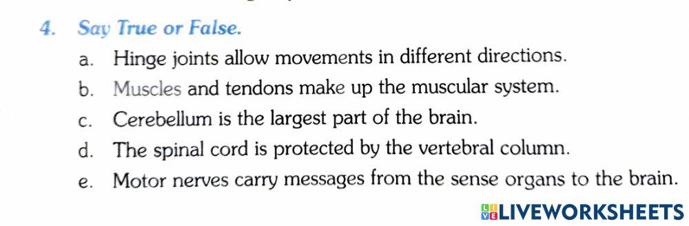 Human body - True False 1907 | Kedar Basu | Live