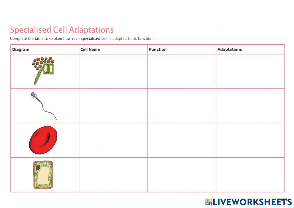 specialised cell online exercise for | Live Worksheets