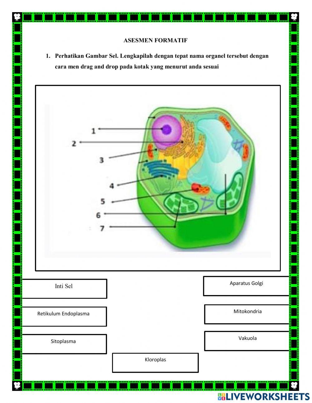 Biologi worksheet for KELAS XI | Live Worksheets