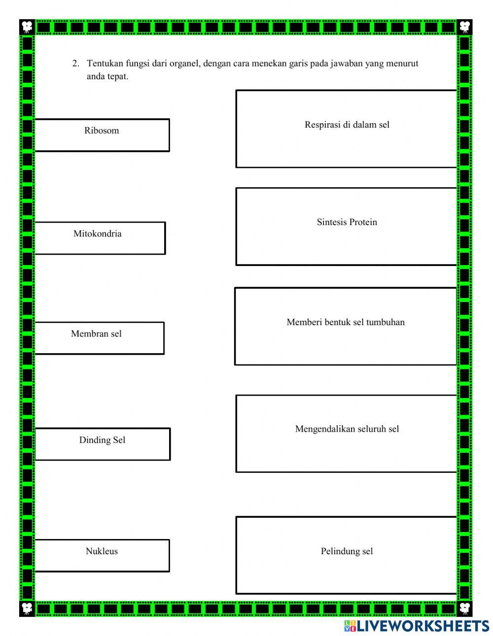 Biologi worksheet for KELAS XI | Live Worksheets