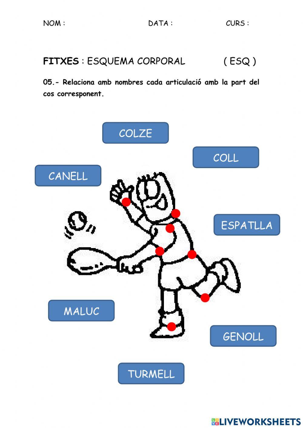 ESQ - Esquema corporal 05 2121466 | DANI SÁNCHEZ | Live