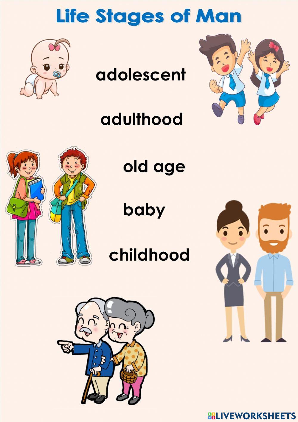 Life Stages of Man online exercise for | Live Worksheets