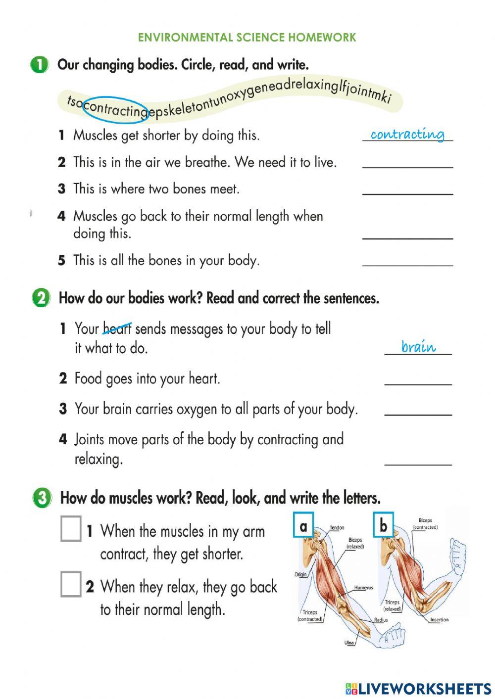 2123555 | Body parts | hpapolo | LiveWorksheets