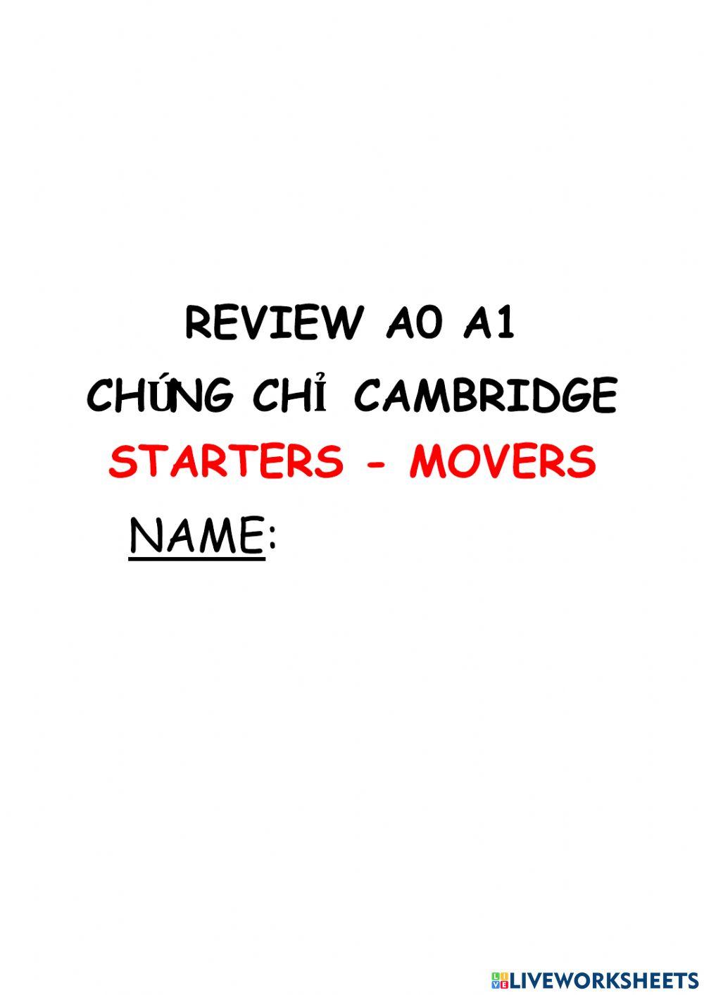 Review A0A1 2124219 | mlenglish05 | Live Worksheets